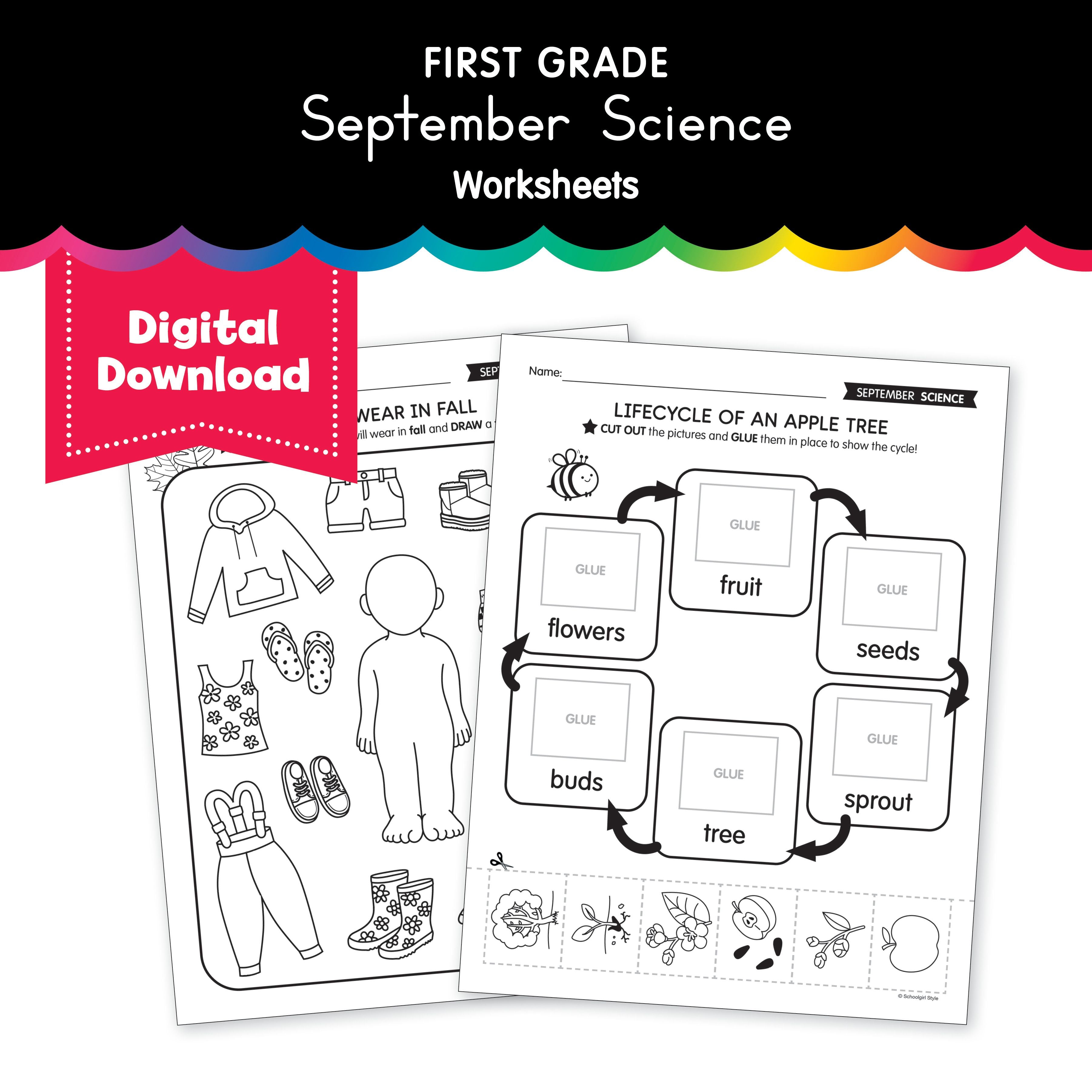 First Grade September Science Worksheets - Playground Press