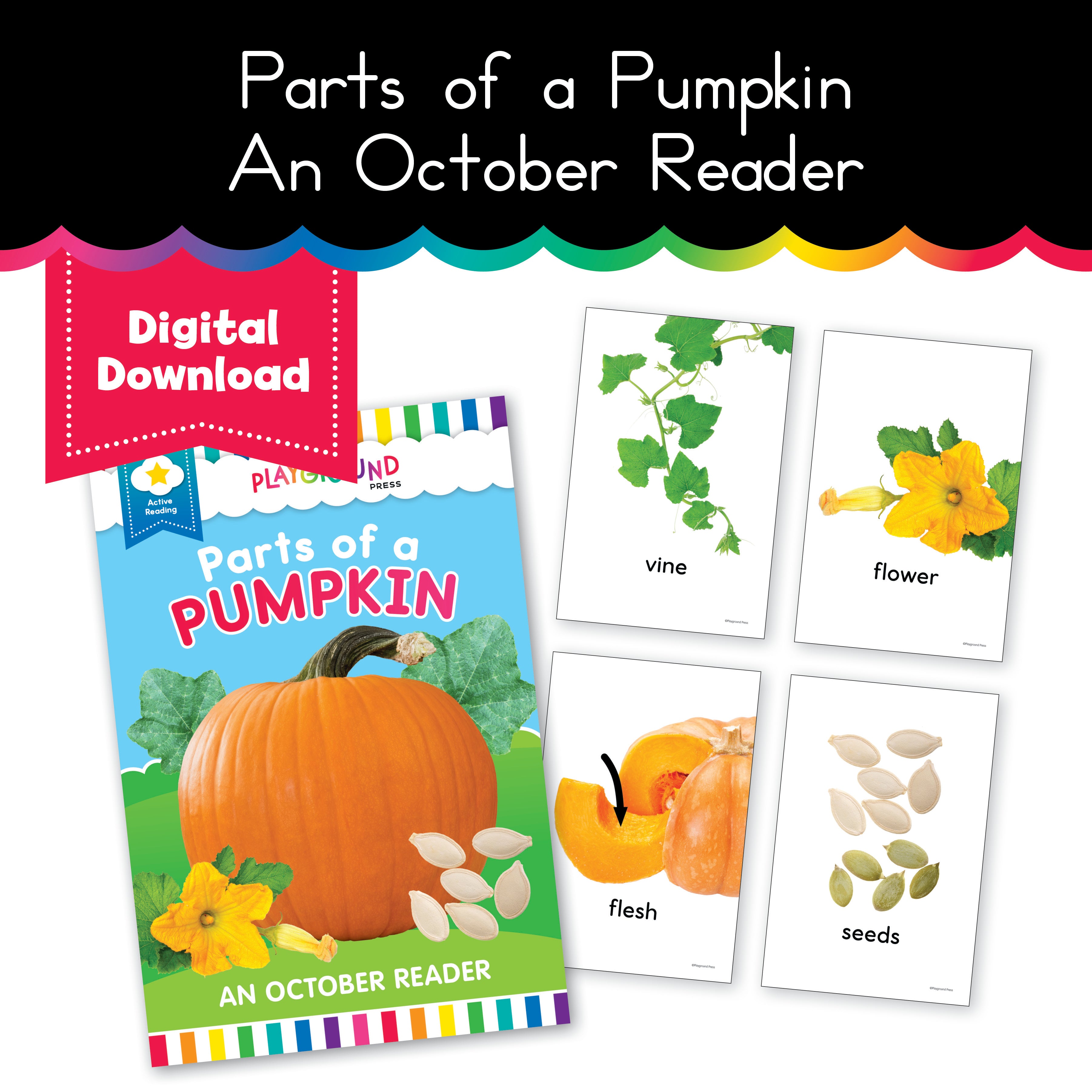 October Reader | Parts of a Pumpkin | Yellow Reader - Playground Press