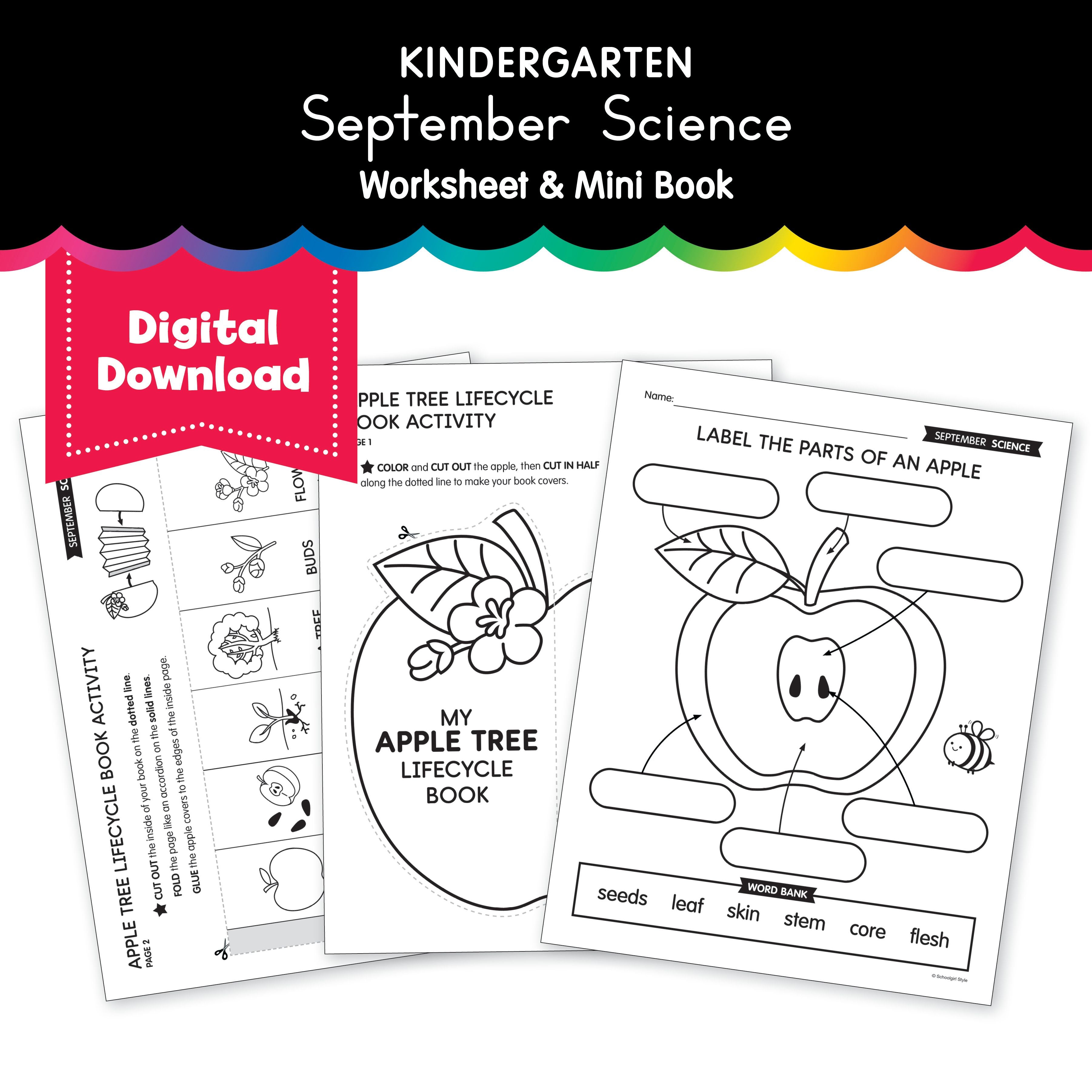 Kindergarten September Science Worksheet & Mini Book - Playground Press